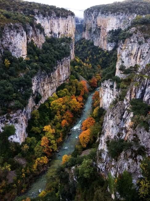 Irati Forest and Ochagavía Excursion - The Full Experience Breakdown