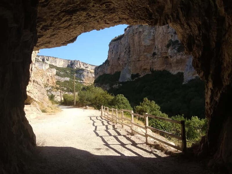 Irati Forest and Ochagavía Excursion - Who Will Enjoy This Tour?