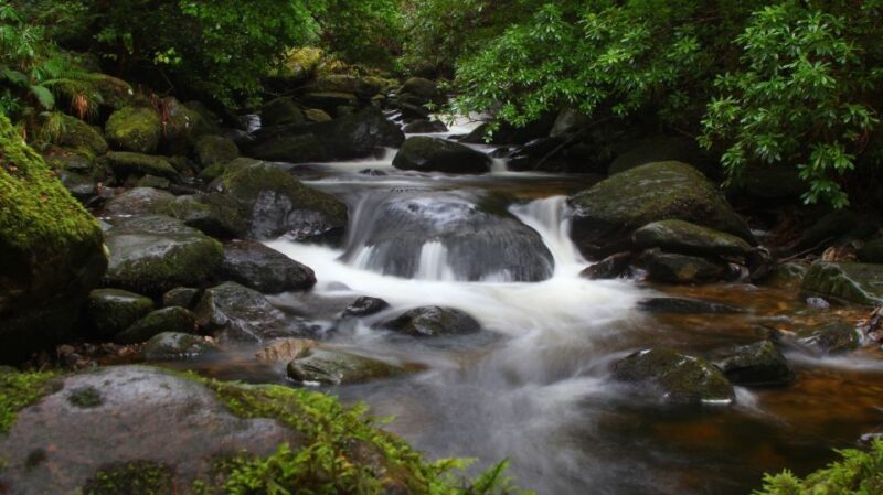 Ireland: 2 Day Wild Atlantic Way Tour - Practical Tips for Travelers