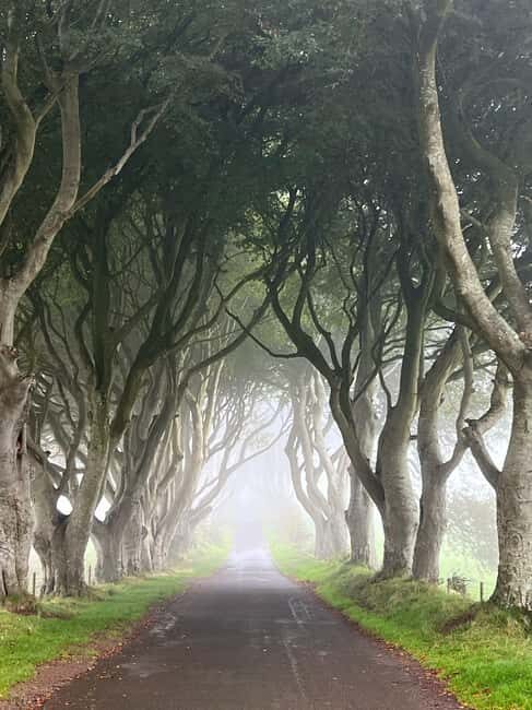 Ireland: Belfast City and Giants Causeway Tour - Navigating the Price