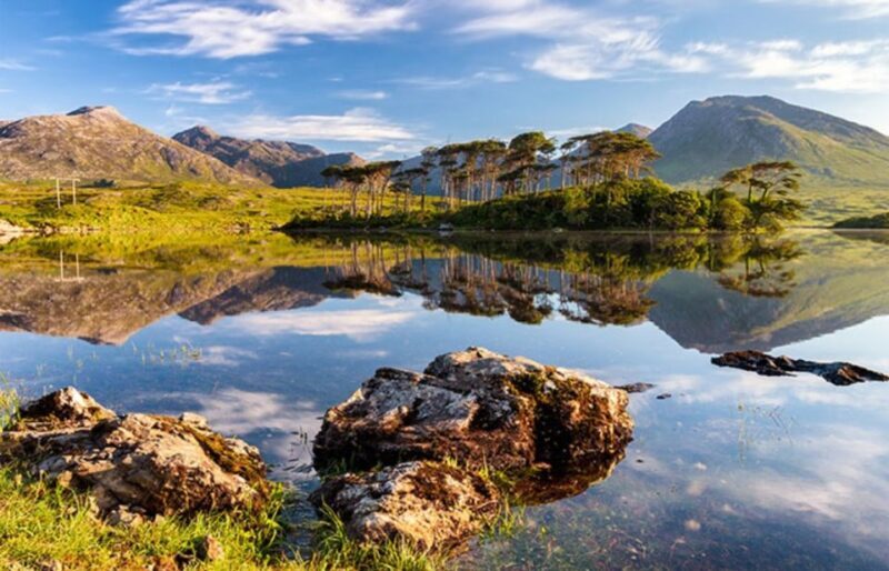 Ireland's North Atlantic Coast 5-Day Tour from Dublin - Starting Point: Dublin to Belfast and the Antrim Coast