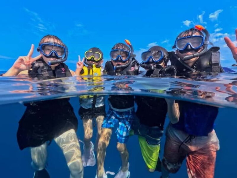 Iriomote: Boat Snorkeling Tour at Barasu Island - Key Points