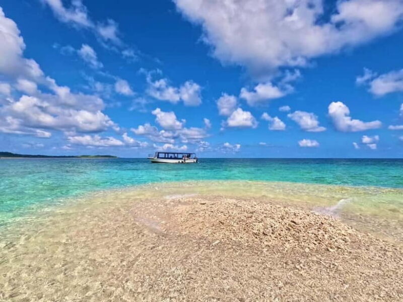 Iriomote: Boat Snorkeling Tour at Barasu Island - What Travelers Say
