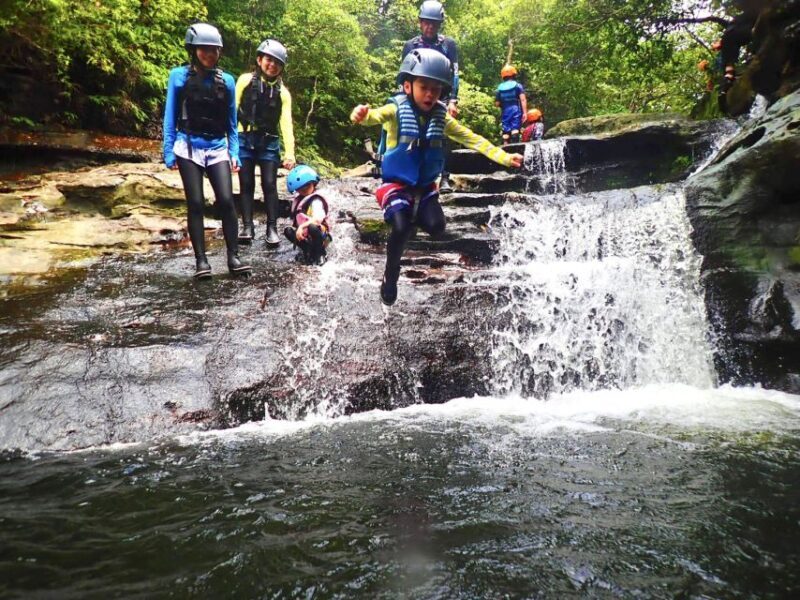 Iriomote Island: Guided 2-Hour Canyoning Tour - Introduction: A Wild Way to Experience Iriomote Island