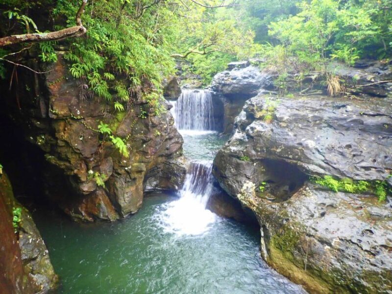 Iriomote Island: Guided 2-Hour Canyoning Tour - Value and Pricing: Is It Worth It?