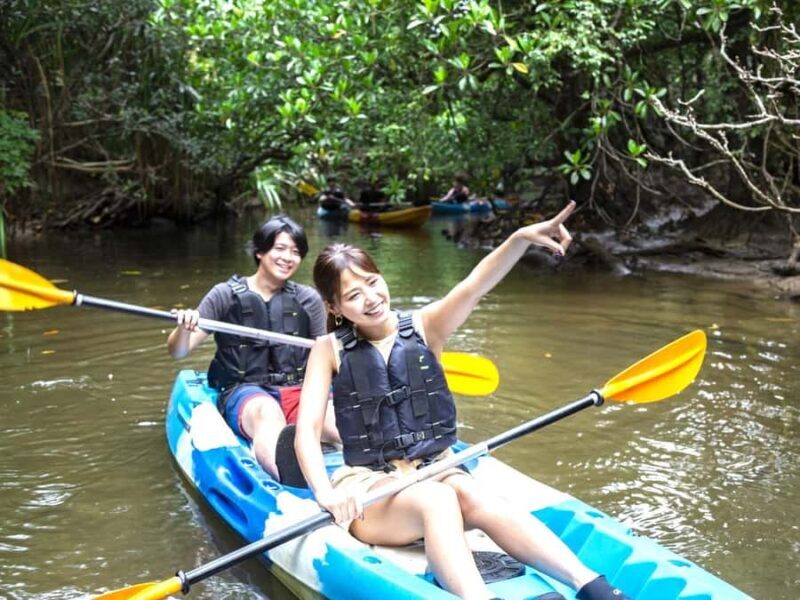 Iriomote island: Mangrove River SUP or Canoe Cruising Tour - What to Expect from This Mangrove Tour