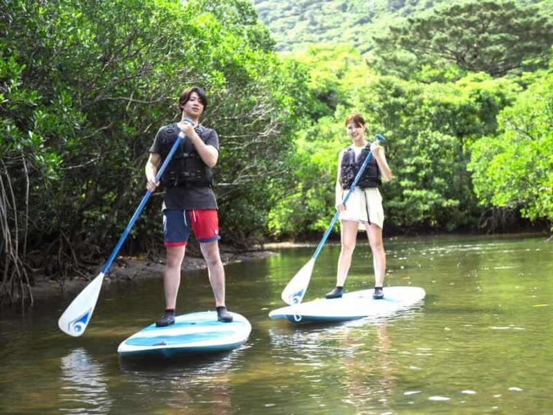 Iriomote island: Mangrove River SUP or Canoe Cruising Tour - The Meeting Point and Logistics