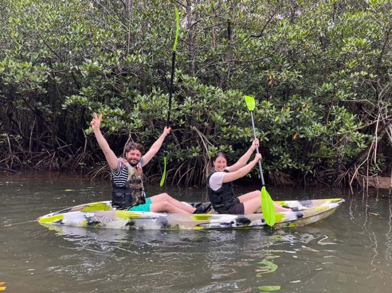 Iriomote island: Mangrove River SUP or Canoe Cruising Tour - The Experience Providers and Similar Tours
