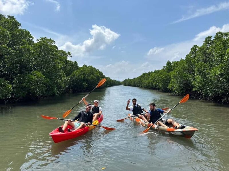 Iriomote island: Mangrove River SUP or Canoe Cruising Tour - Price and Value Analysis