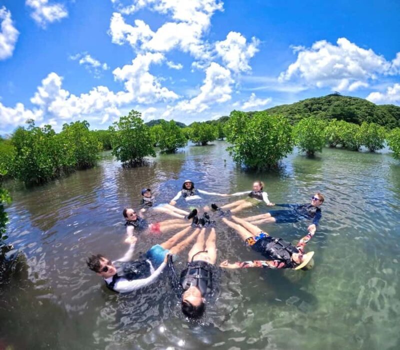 Iriomote island: Mangrove River SUP or Canoe Cruising Tour - The Sum Up