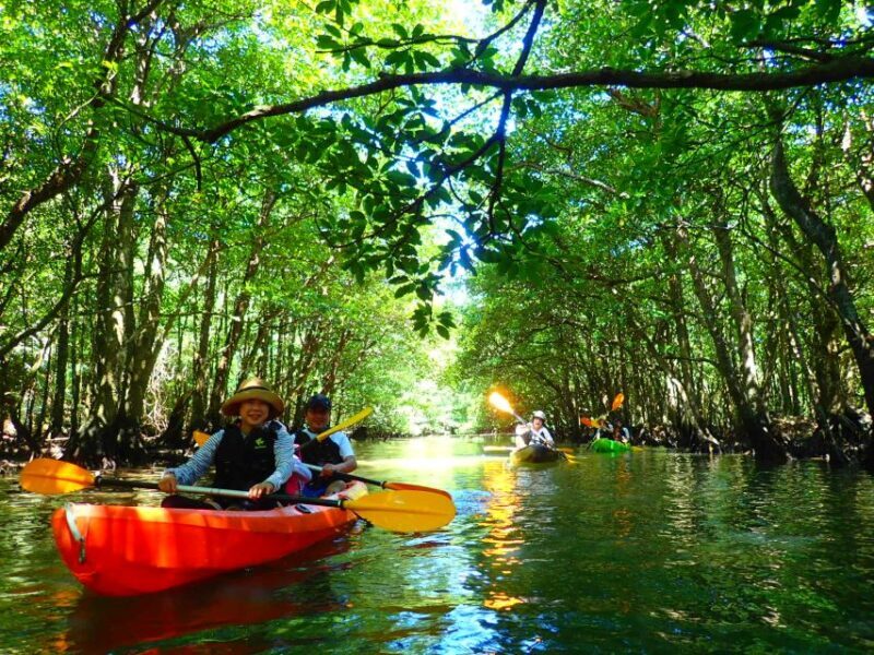 Iriomote Island: SUP or Canoeing and Canyoning Tour - What Is This Tour All About?