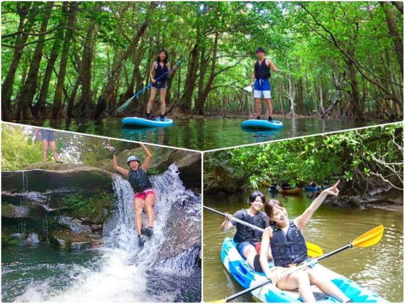 Iriomote Island: SUP or Canoeing and Canyoning Tour - Real Experiences and Honest Feedback