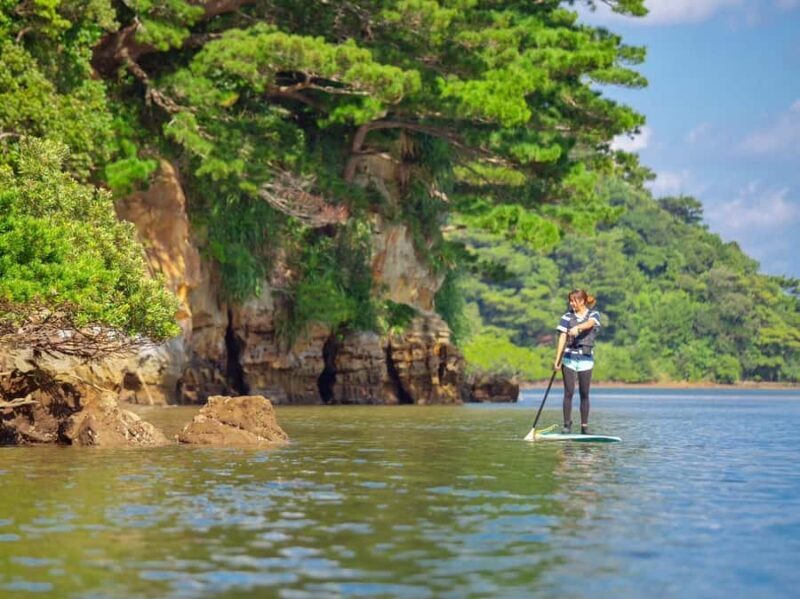 Iriomote Mangrove SUP and Snorkeling at Coral island - The Experience in Detail