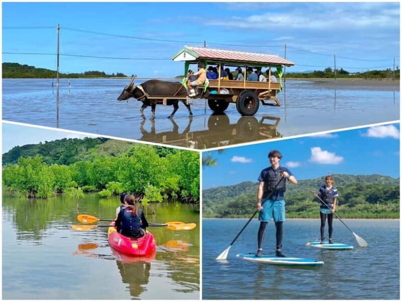 Iriomote: Mangrove SUP or Canoe and Yubujima sightseeing - Iriomote: Mangrove SUP or Canoe and Yubujima Sightseeing — A Balanced Look at Okinawa’s Natural Treasures