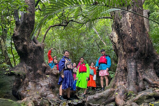 Iriomotes Adventure: Pinaisara Falls Canoe and Trekking Tour - Starting Point and Timing