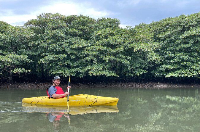 Iriomotes Adventure: Pinaisara Falls Canoe and Trekking Tour - Booking and Practical Tips