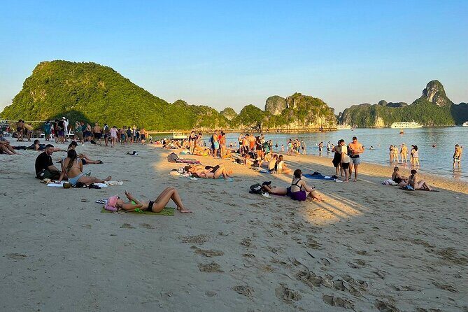 Iris Cruise - Unwind on Luxury Halong Bay Day Cruise with Lunch - Who Should Consider This Tour?