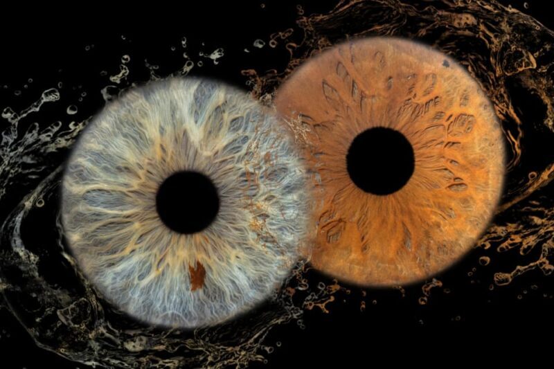 IRIS Photography (macro photo of your eye) - The Sum Up