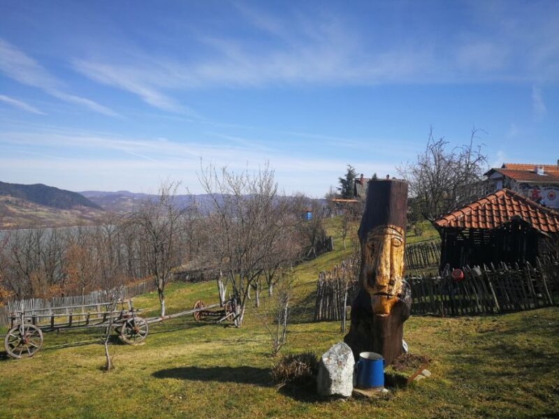 Iron Gate Tour: Golubac Fortress, Lepenski Vir+National Park - An In-Depth Look at the Tour Experience
