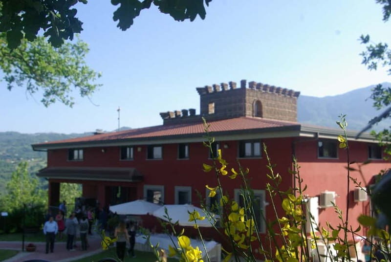 Irpinia Wine Tasting Experience - The Sum Up