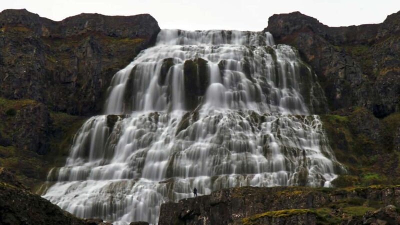 Ísafjörður: Dynjandi Waterfall & Flateyri Village Tour - Exploring the Westfjords: A Closer Look at the Tour