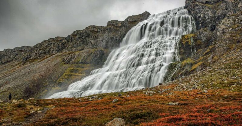 Isafjordur: Dynjandi Waterfall Tour and Icelandic Farm Visit - Who Will Love This Tour?