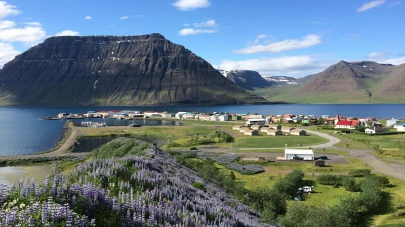 Ísafjörður: Flateyri Village tour: Nature, Culture, History - Discovering Flateyri: A Village Steeped in History
