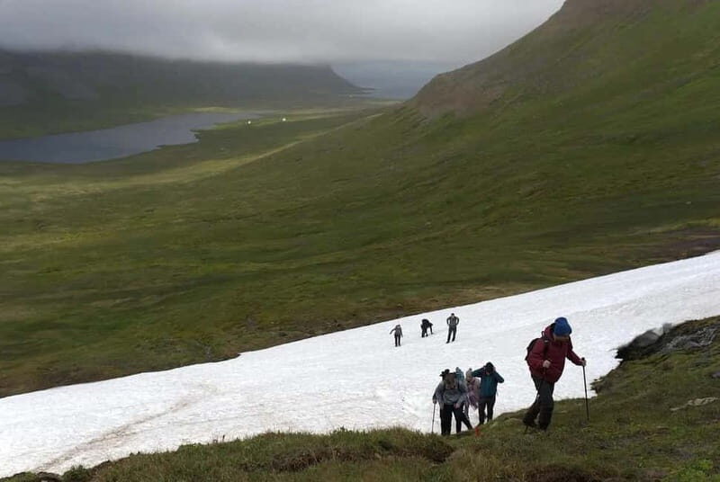 Ísafjörður: Hornstrandir Guided Hike Aðalvík to Hesteyri - Key Points