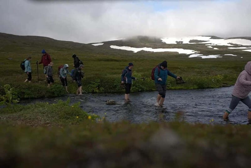 Ísafjörður: Hornstrandir Guided Hike Aðalvík to Hesteyri - What Past Travelers Say