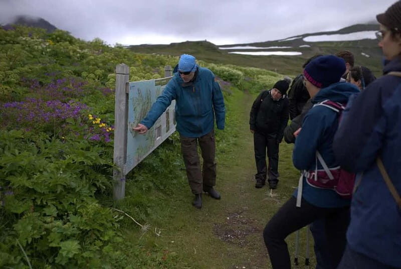 Ísafjörður: Hornstrandir Guided Hike Aðalvík to Hesteyri - FAQ