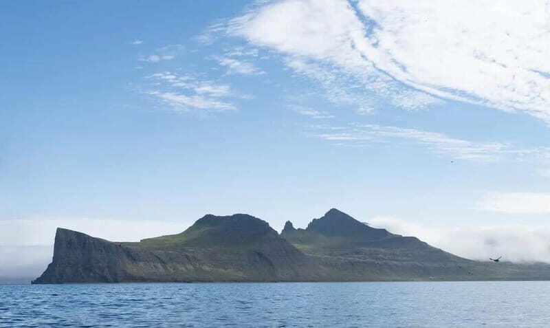 Ísafjörður: Hornstrandir Nature Reserve Guided Hike - Wildlife and Sightseeing