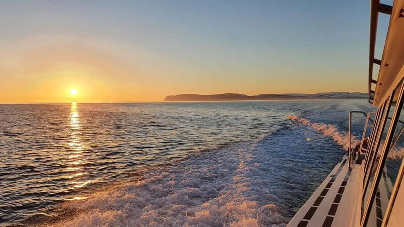 Ísafjörður: Midnight Whale Watching Tour with Hydrophone - Key Points