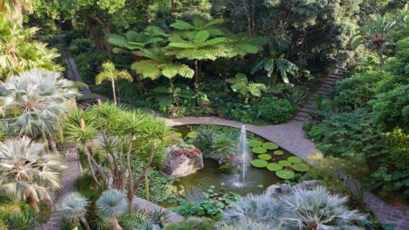 Ischia and Mortella Gardens Full-Day Tour from Sorrento - Key Points