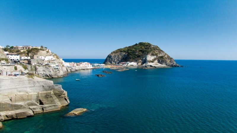 Ischia and Mortella Gardens Full-Day Tour from Sorrento - A Detailed Look at the Tour Experience