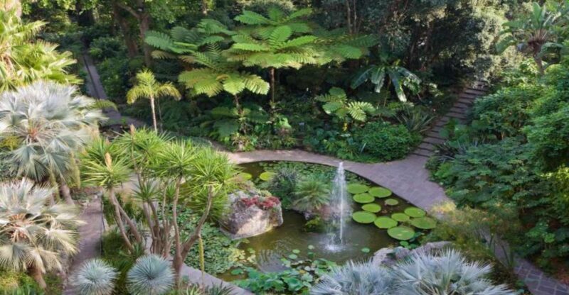Ischia and Mortella Gardens Full-Day Tour from Sorrento - Final Thoughts