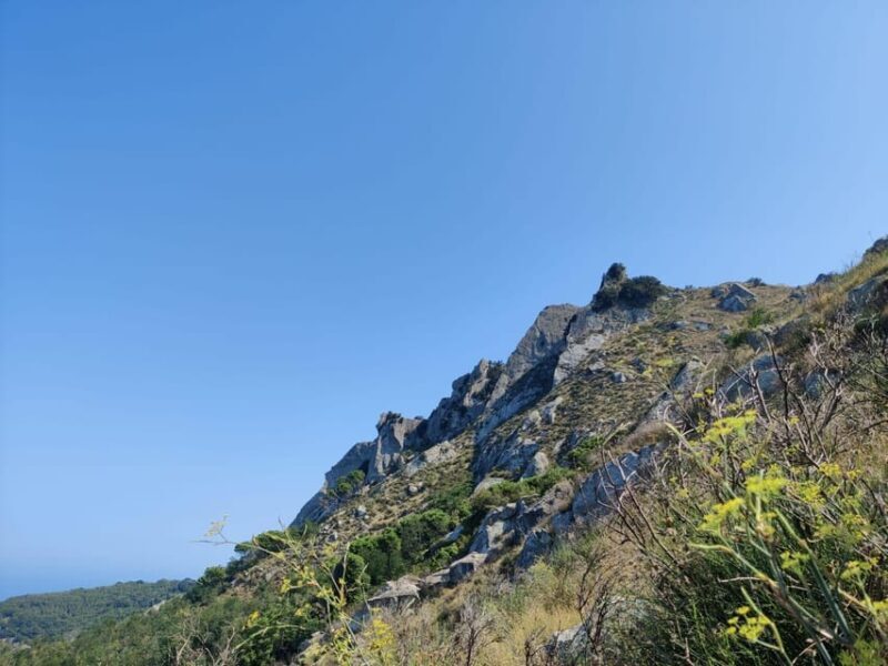 Ischia: Epomeo summit hike - What Makes This Tour Stand Out