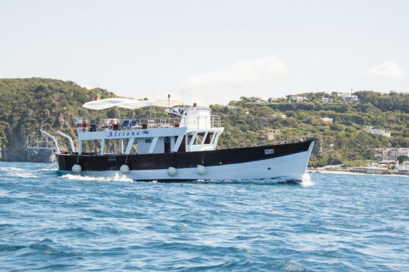 Ischia: Island Boat Tour with Neapolitan Lunch & Snorkeling - Practical Tips for Participants