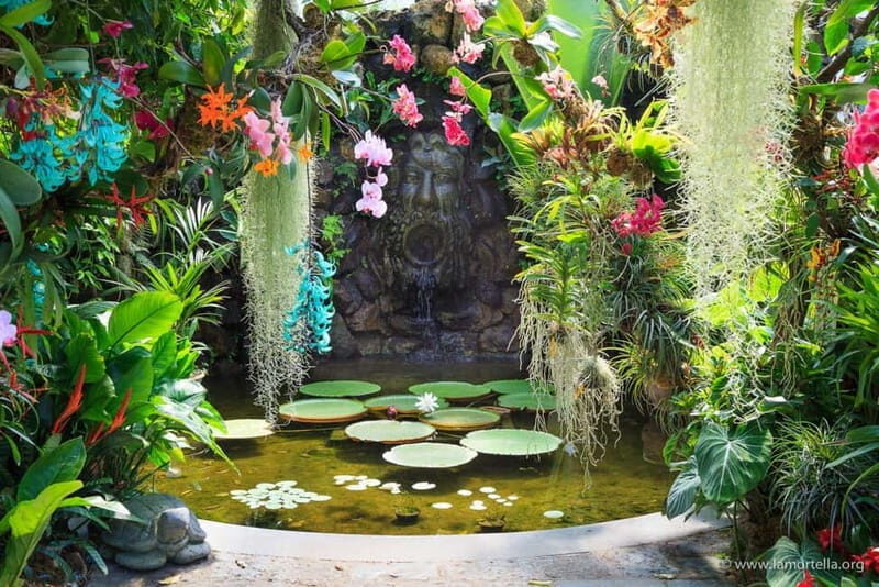 Ischia: La Mortella Gardens Trip with Optional Lunch - Authentic Visitor Insights
