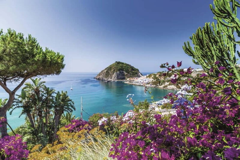 Ischia: Private Island Tour with Lunch - Key Points