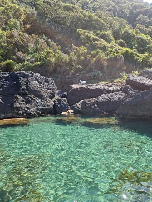 Ischia: Private SUP Lesson and Tour of the Forio Coast - Key Points