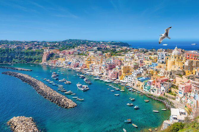 Ischia & Procida Tour - Final Thoughts: Is This Tour Right for You?