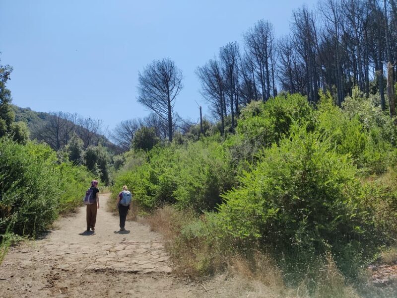 Ischia: Volcano hike - Ischia: Volcano Hike – An Authentic Journey into Italy’s Volcanic Heart