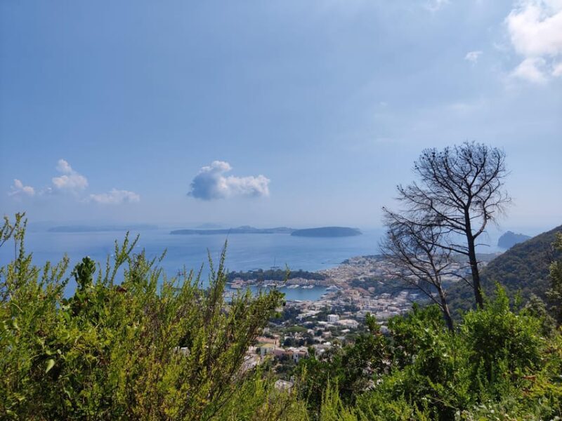 Ischia: Volcano hike - An In-Depth Look at the Ischia Volcano Hike