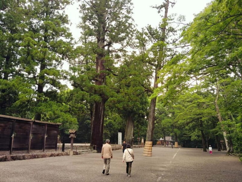 Ise: Full-Day Guided Tour of Shrines and Oharaimachi - What Reviews Say