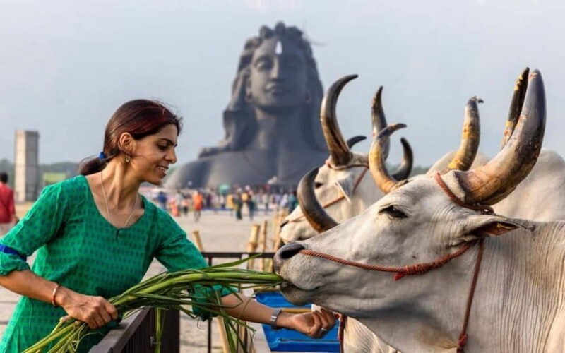 Isha Yoga Center from Coimbatore - Day Trip with Lunch - A Detailed Look at Your Day at Isha Yoga Center