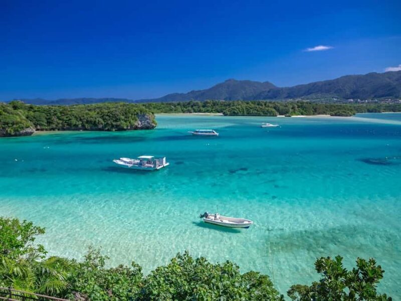 Ishigaki: Half-Day Scenic Tour with Photos & Transfer - Key Points