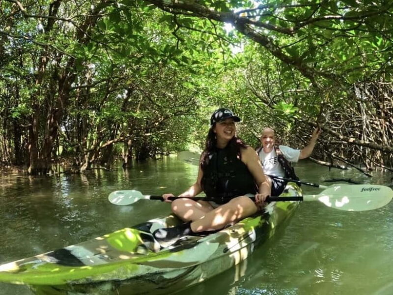 Ishigaki Island: 2-Hour Miyara River SUP or Canoeing Tour - The Value and Pricing