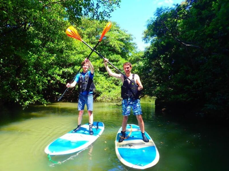 Ishigaki Island: 2-Hour Miyara River SUP or Canoeing Tour - Who Will Love This Tour?
