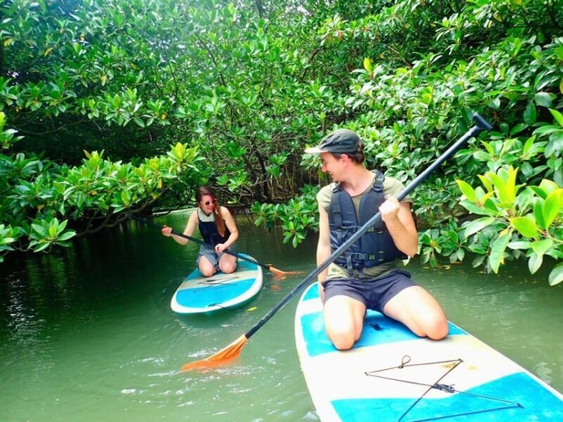 Ishigaki Island: 2-Hour Miyara River SUP or Canoeing Tour - The Sum Up