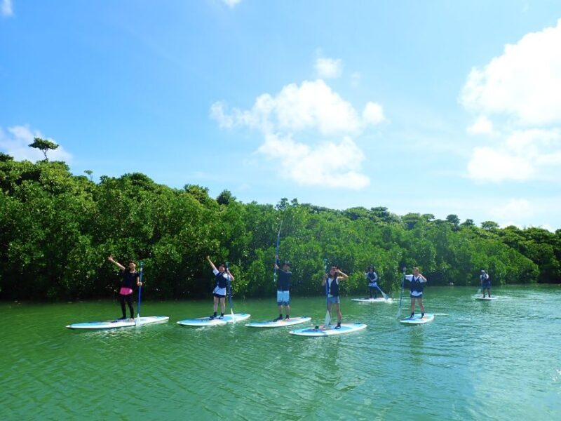 Ishigaki Island: 2-Hour Miyara River SUP or Canoeing Tour - FAQ